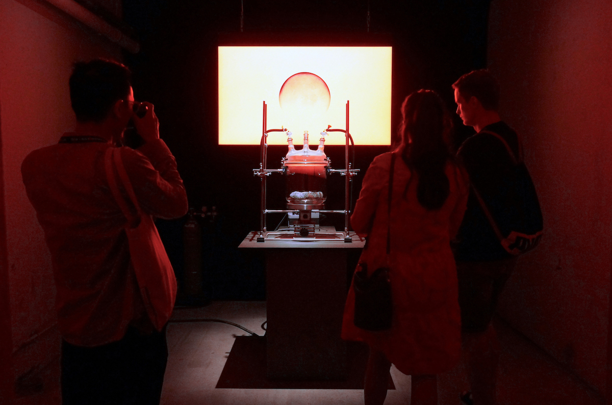 PЯОТO-ALIEИ PЯOJECT